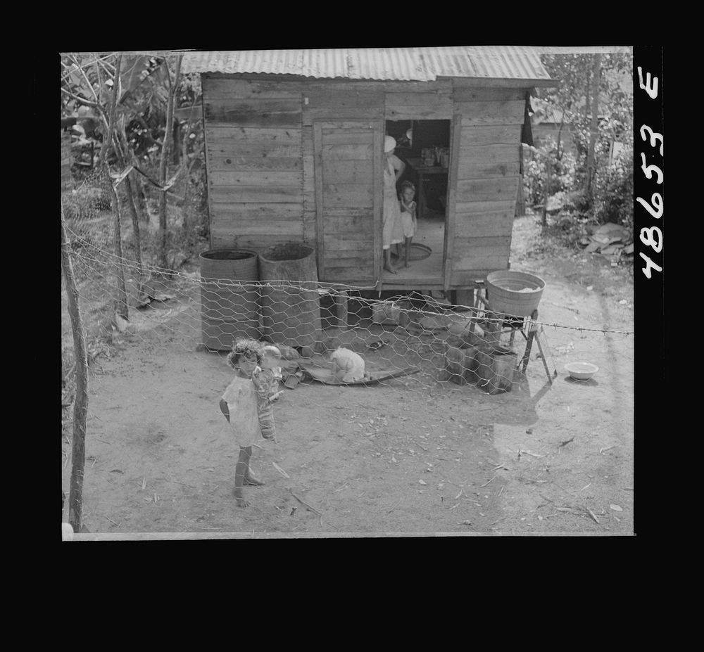 Bayamon, Puerto Rico. Children backyard. | Free Photo - rawpixel