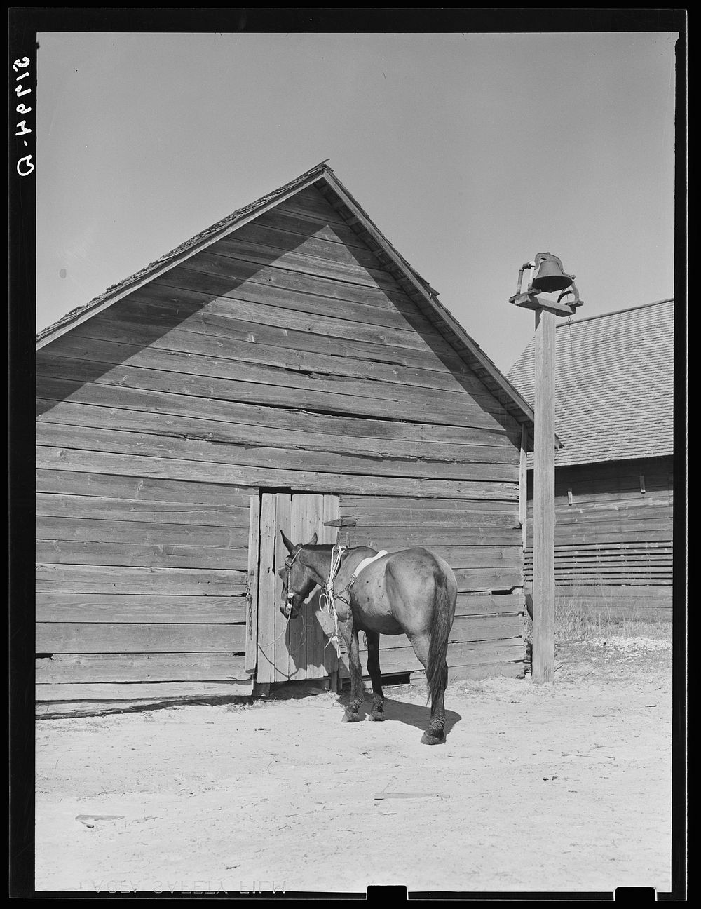 Mule and dinner bell barn | Free Photo - rawpixel