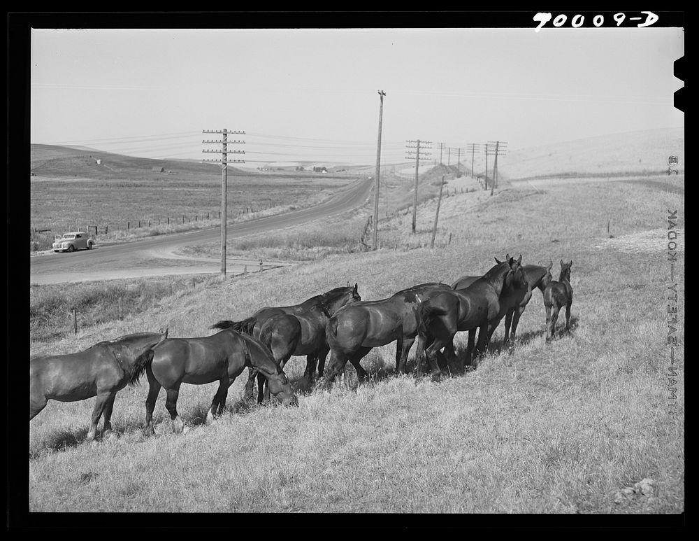Workhorses, wheat farm Whitman County | Free Photo - rawpixel