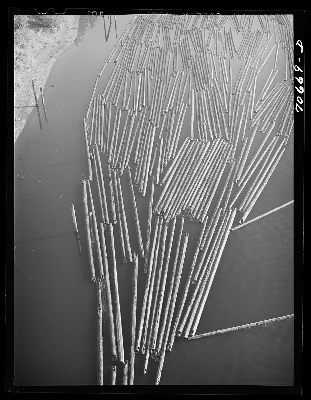 Log raft Willamette River. Portland, | Free Photo - rawpixel