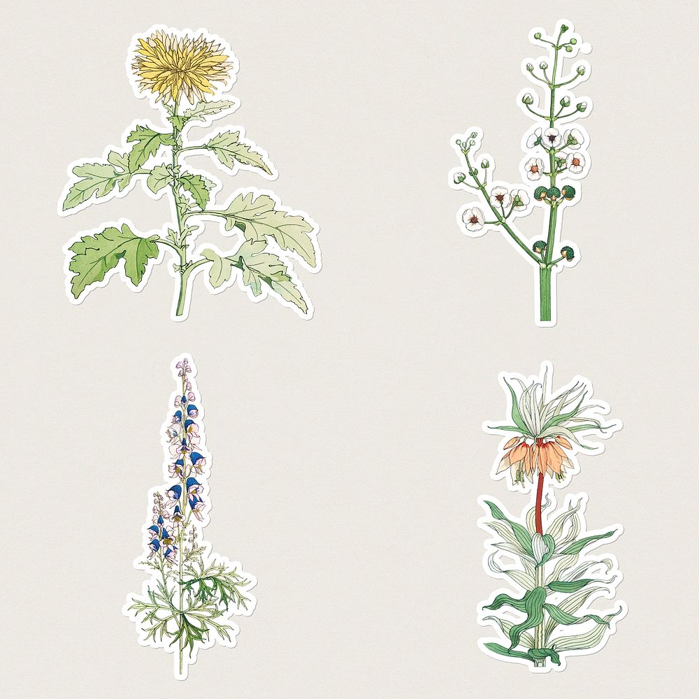 Vintage flower sticker white border | Premium PSD - rawpixel