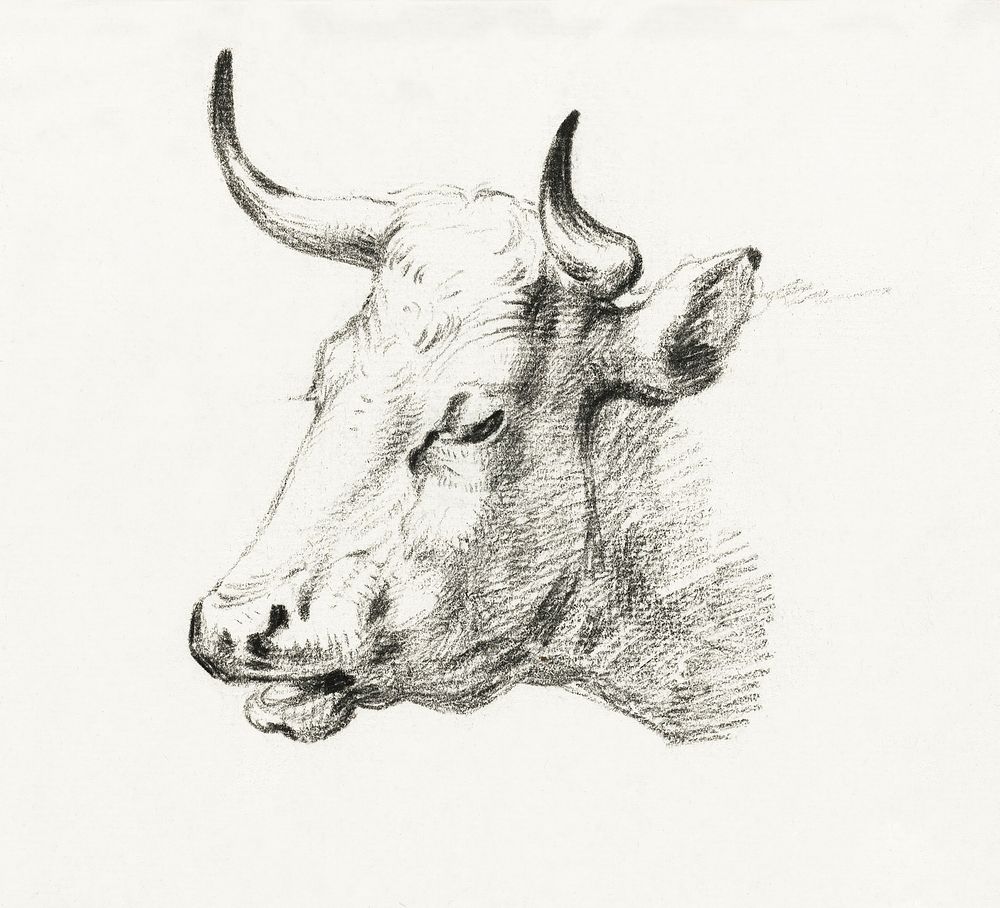 Head cow Jean Bernard (1775-1883) | Free Photo Illustration - rawpixel