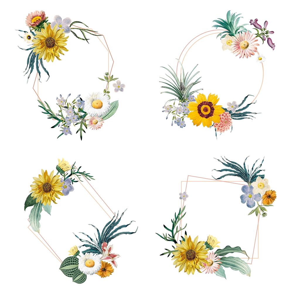 Set frame decorated flower vectors | Premium Vector - rawpixel
