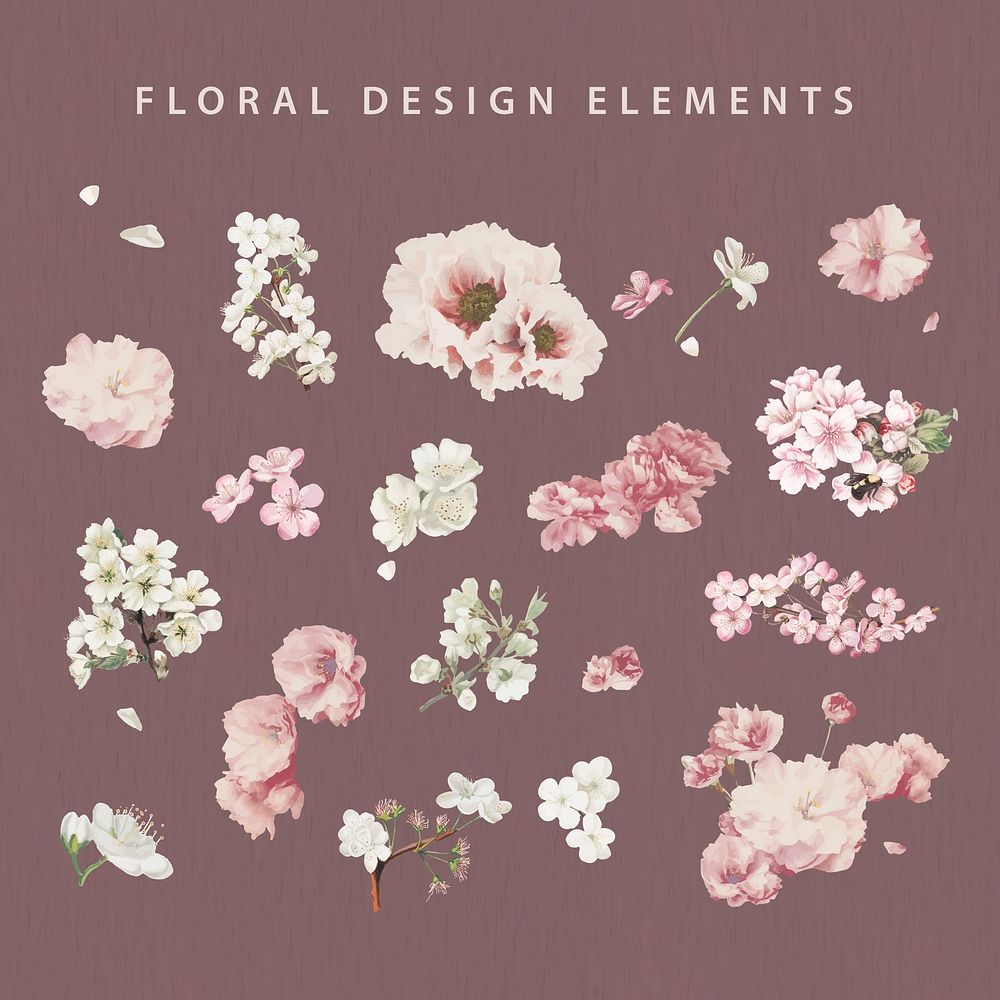 Floral design elements vector collection | Premium Vector - rawpixel