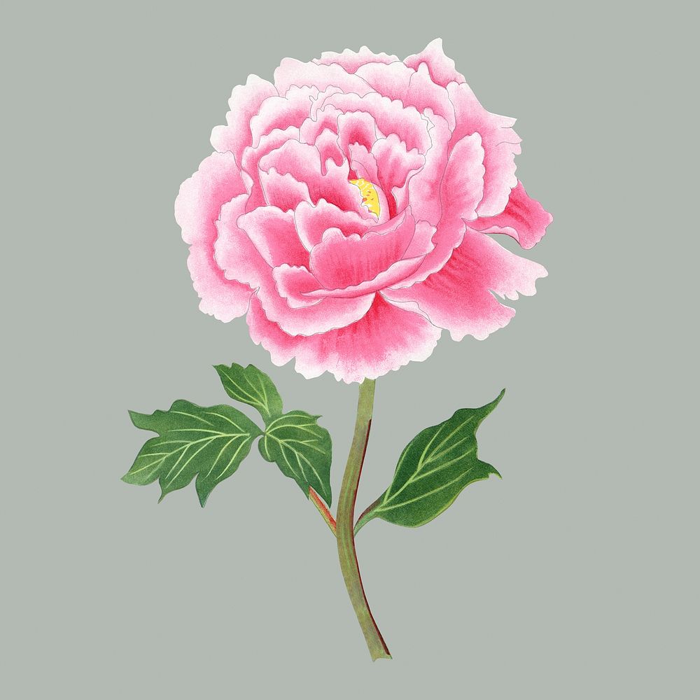 Pink peony sticker, Japanese botanical | Premium PSD Illustration ...