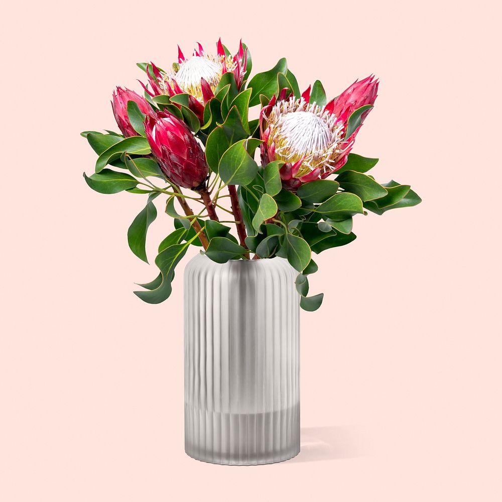 King proteas glass vase, flower | Premium Photo - rawpixel