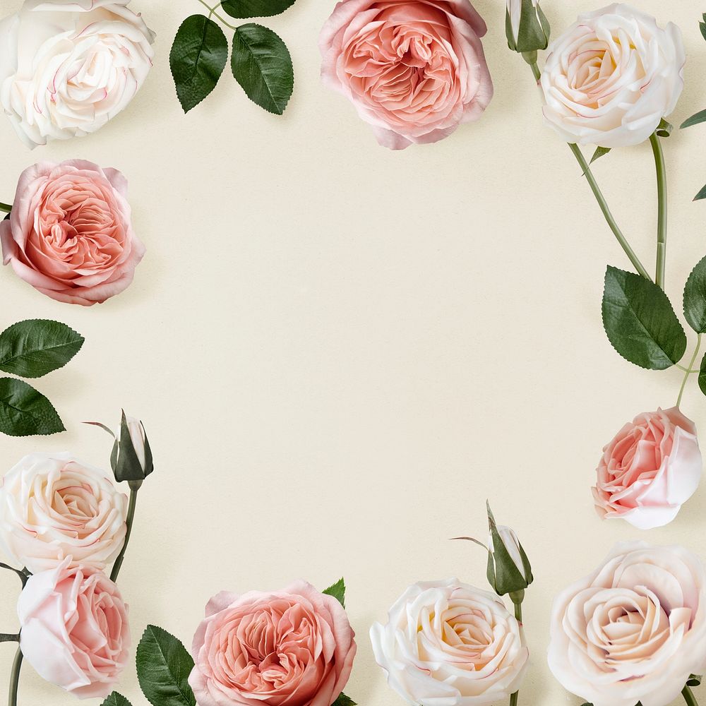 Cute roses flower aesthetic frame | Free Photo - rawpixel