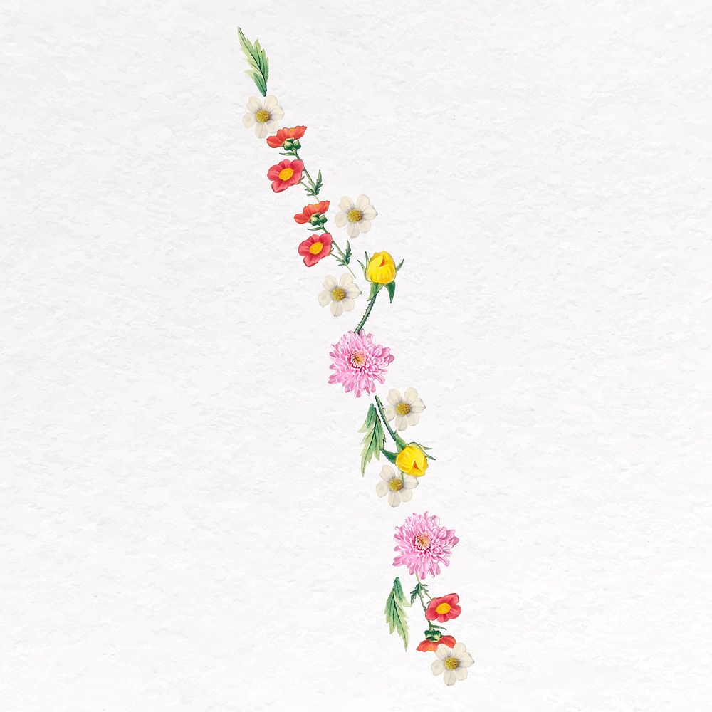 Floral divider clip art, botanical | Premium Vector - rawpixel