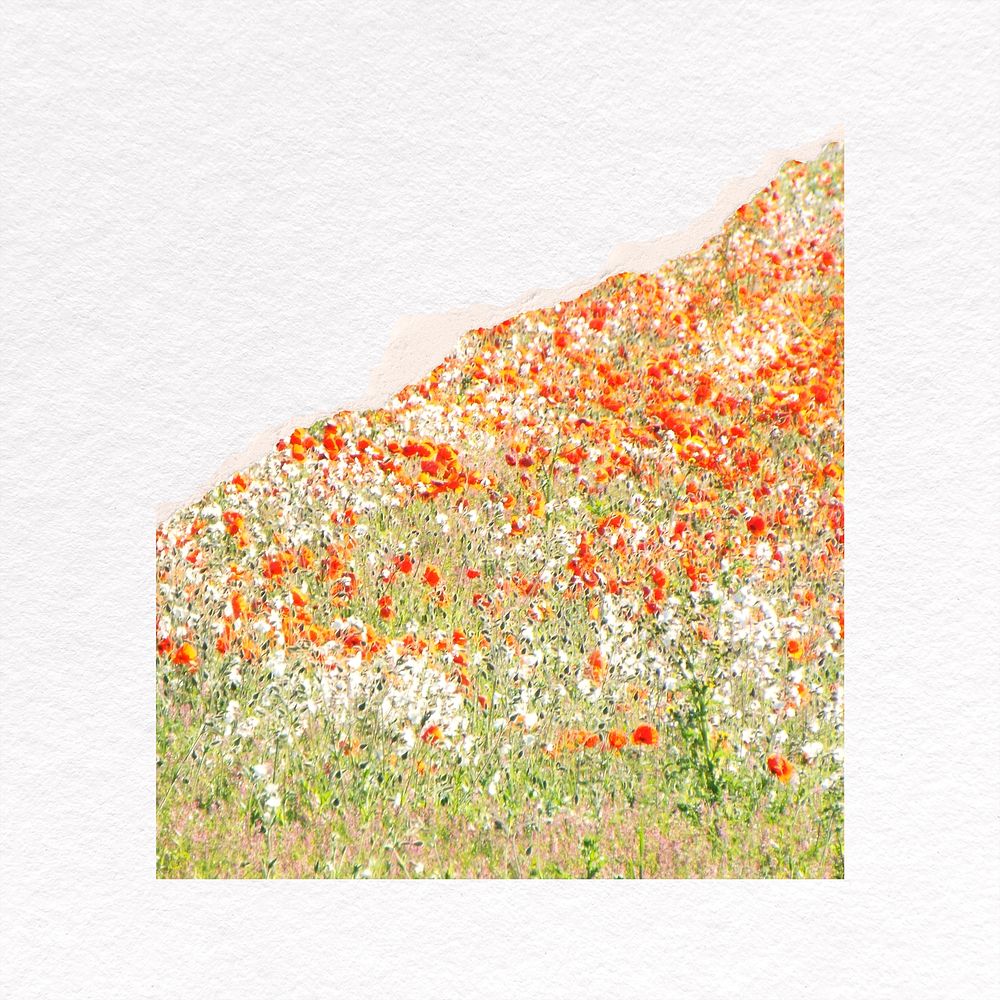 Flower field ripped paper collage | Premium Photo - rawpixel