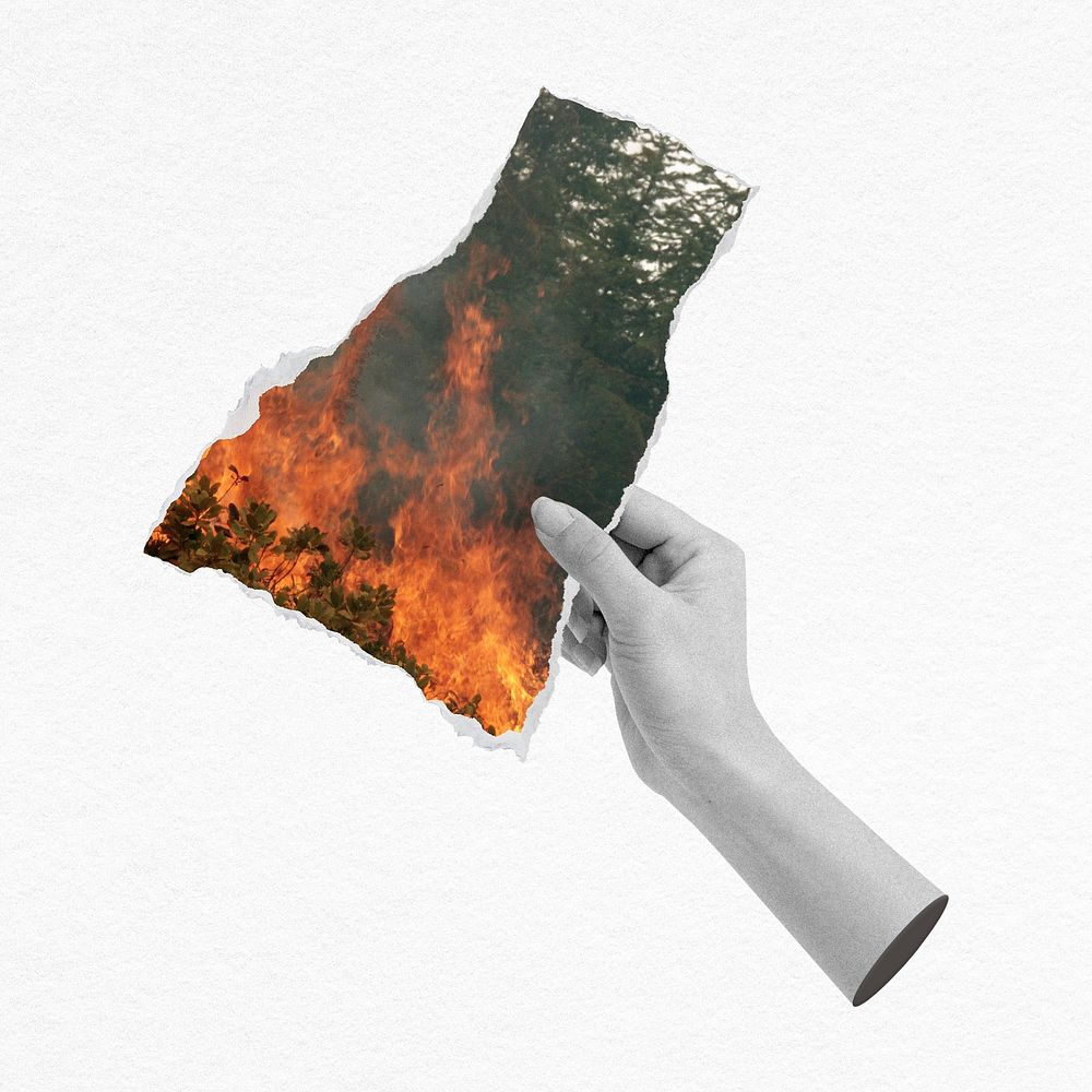 Forest fire collage element, mixed | Free Photo - rawpixel