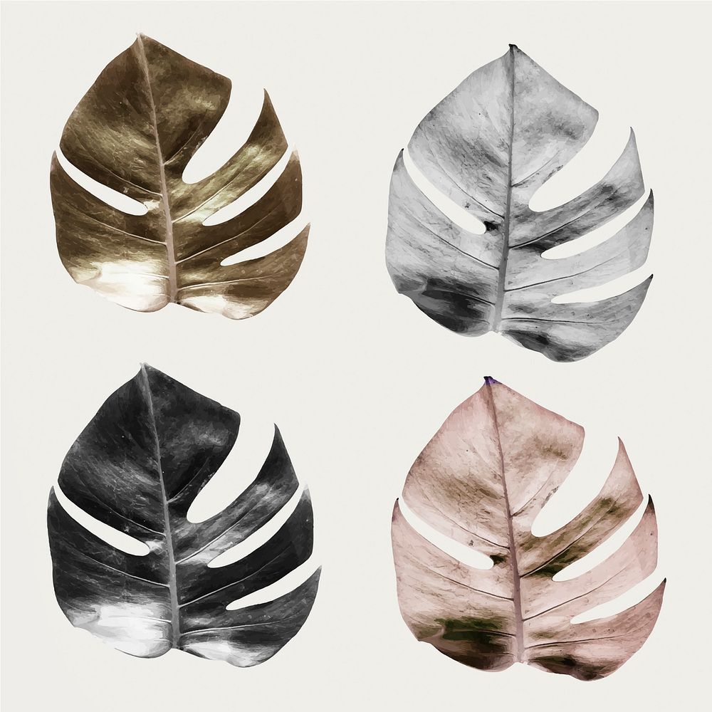 Metallic split leaf philodendron set | Premium Vector - rawpixel