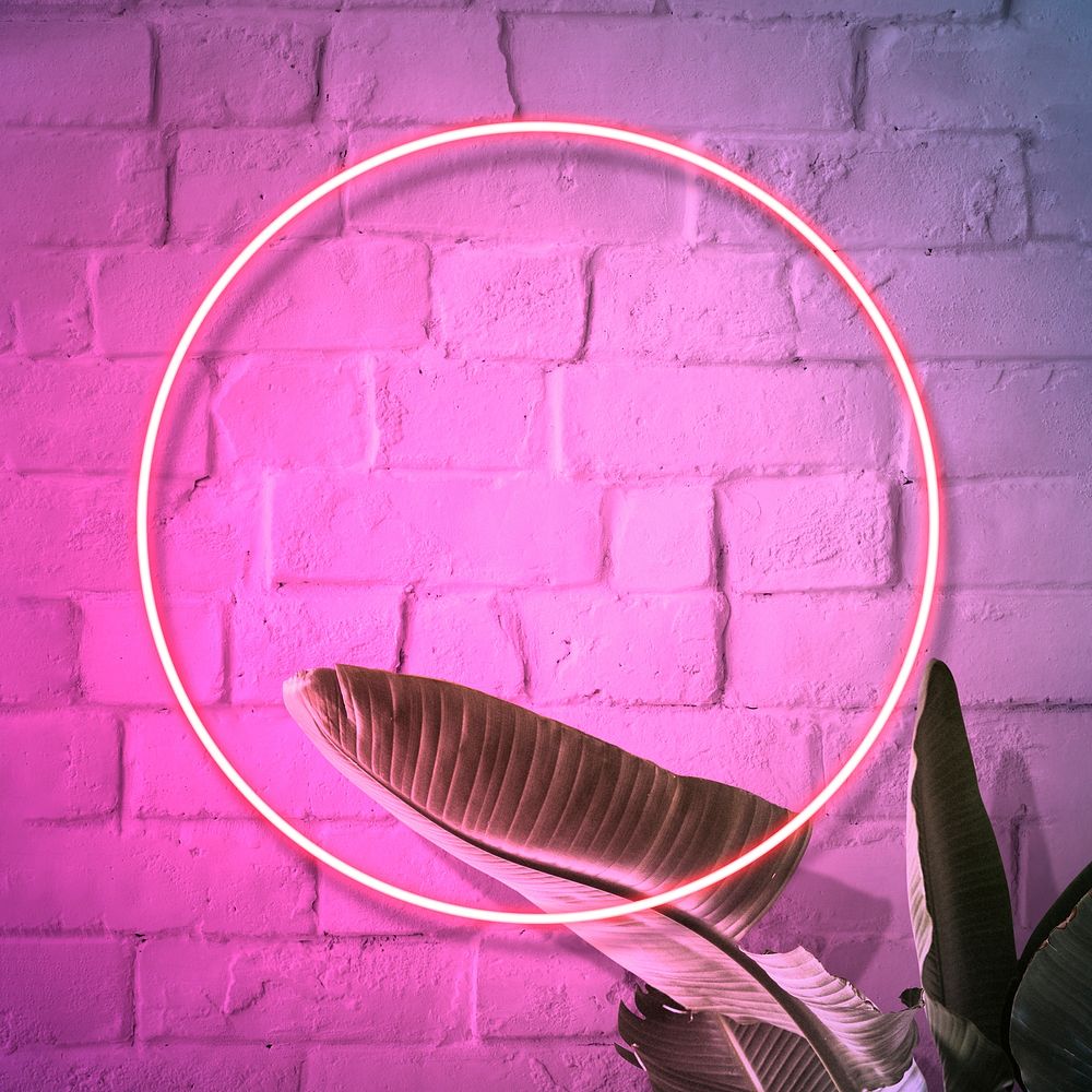 Pink neon lights frame white | Premium PSD - rawpixel