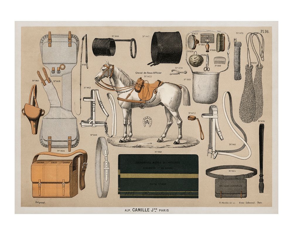 Horses antique horseback riding equipments | Premium Photo - rawpixel