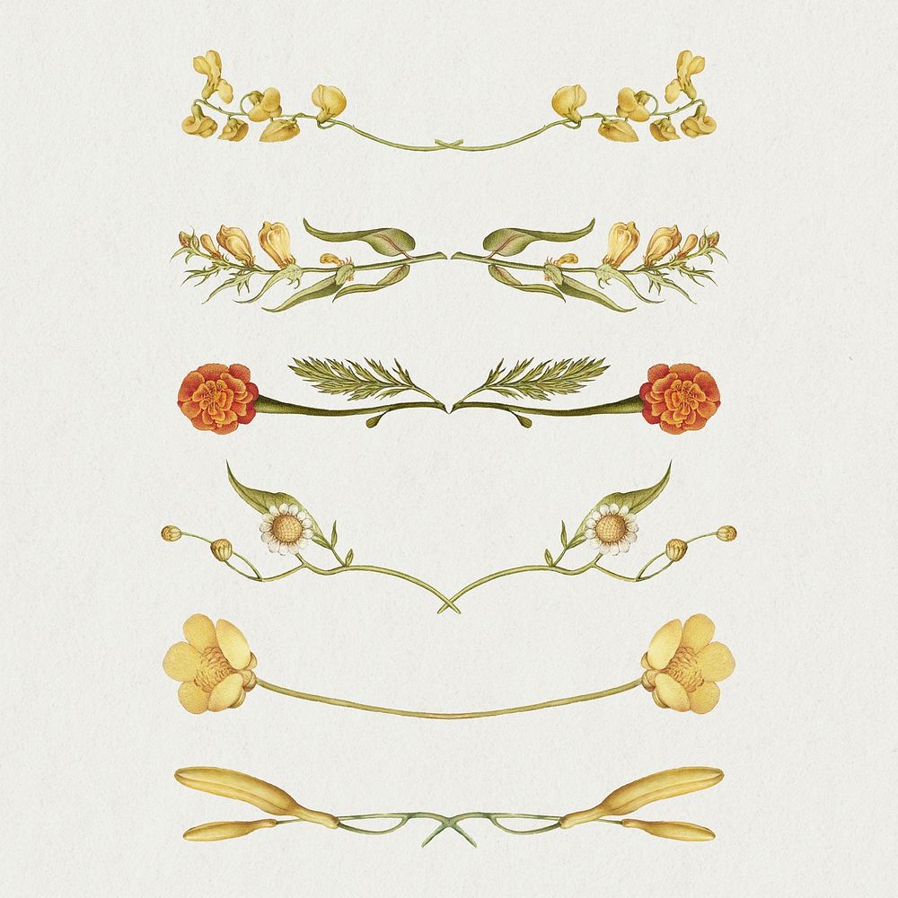 Colorful flower psd flourish divider | Premium PSD - rawpixel