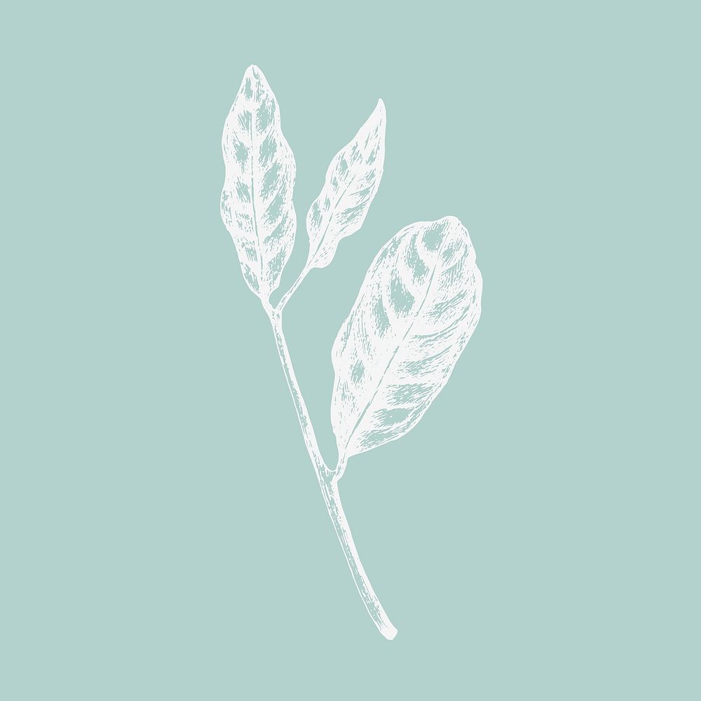 White leaf clipart, cute design | Free Vector - rawpixel