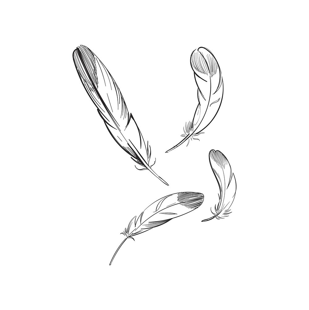 Hand drawing illustration of freedom | Premium Vector Illustration ...