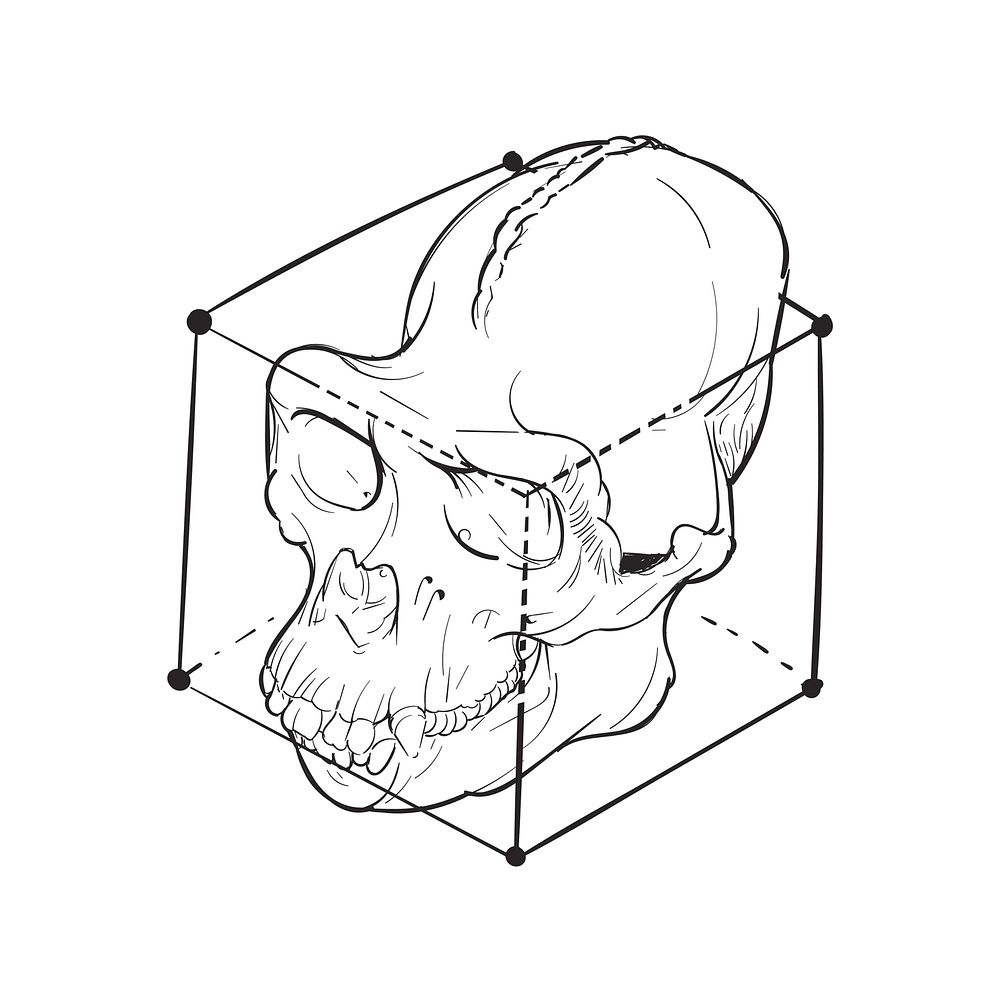 Hand drawing illustration development concept | Free Photo Illustration ...