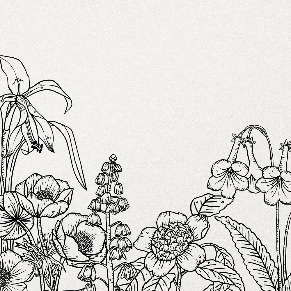 Seamless flower line art border | Premium PSD - rawpixel