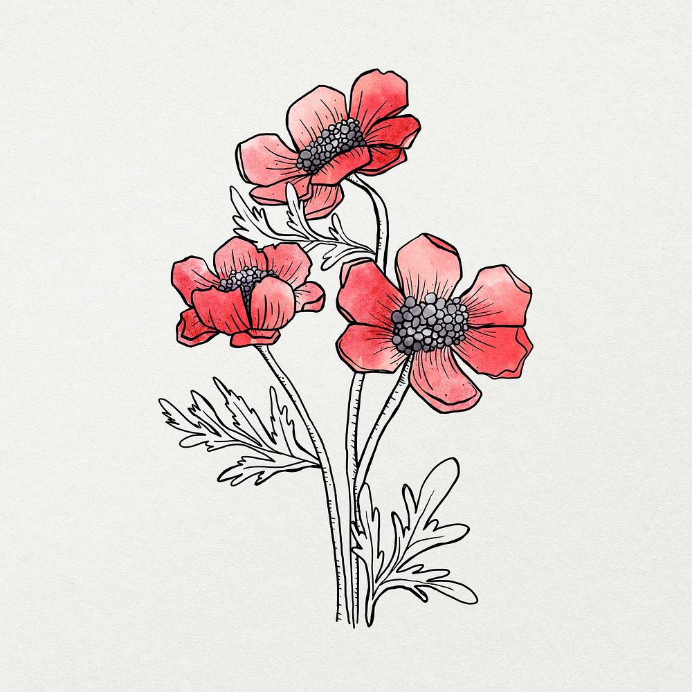 Red watercolor flower line art, | Premium Photo Illustration - rawpixel