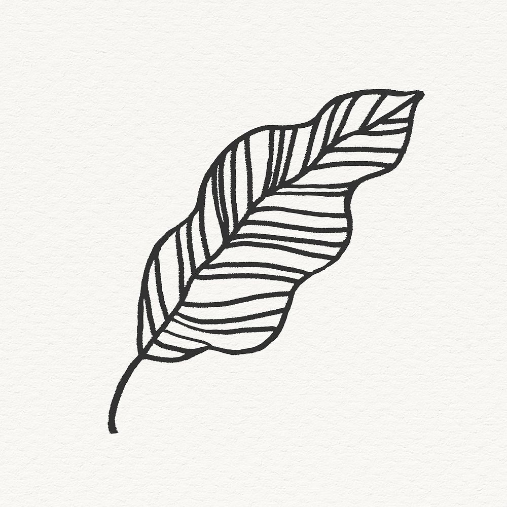 Aesthetic guava leaf sticker, line | Premium PSD Illustration - rawpixel