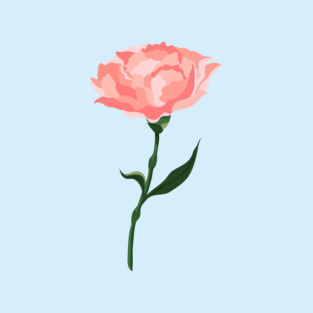 Pink carnation sticker, aesthetic flower | Premium Vector Illustration ...