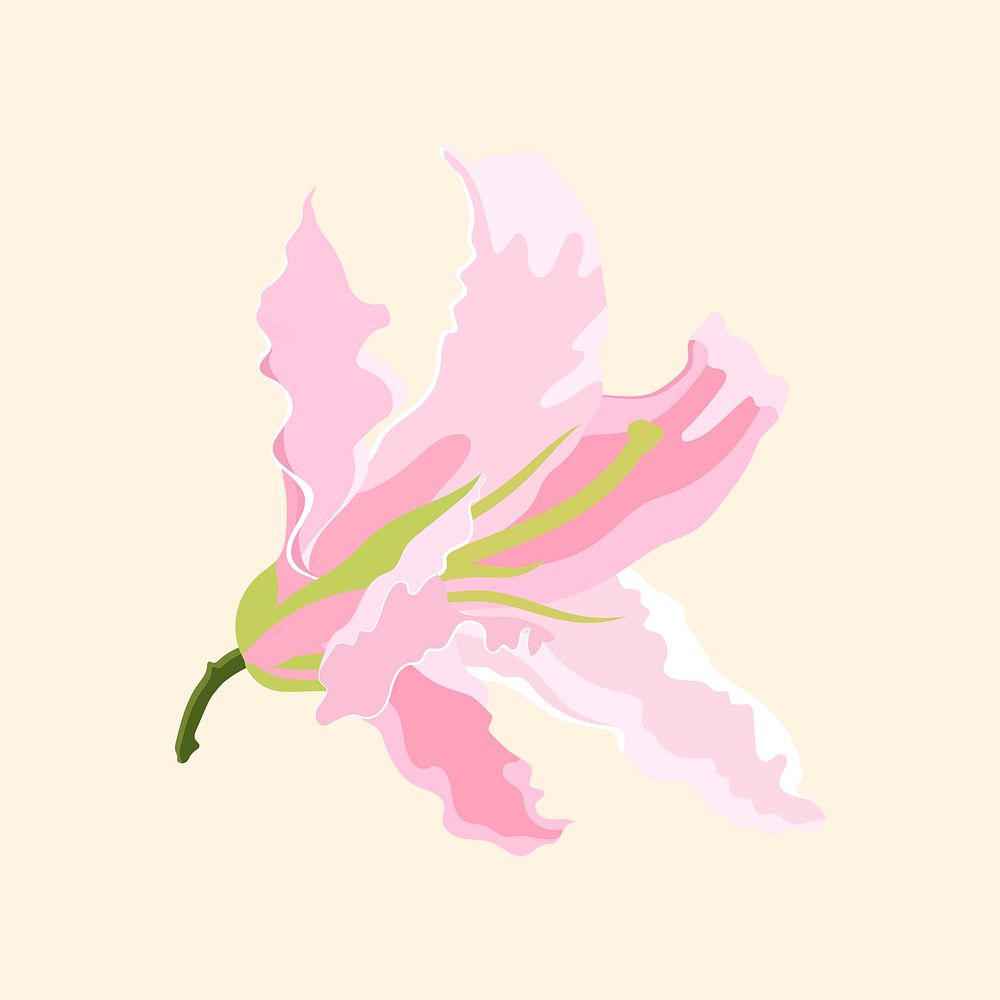 Pink lily sticker, blooming flower | PSD Illustration - rawpixel