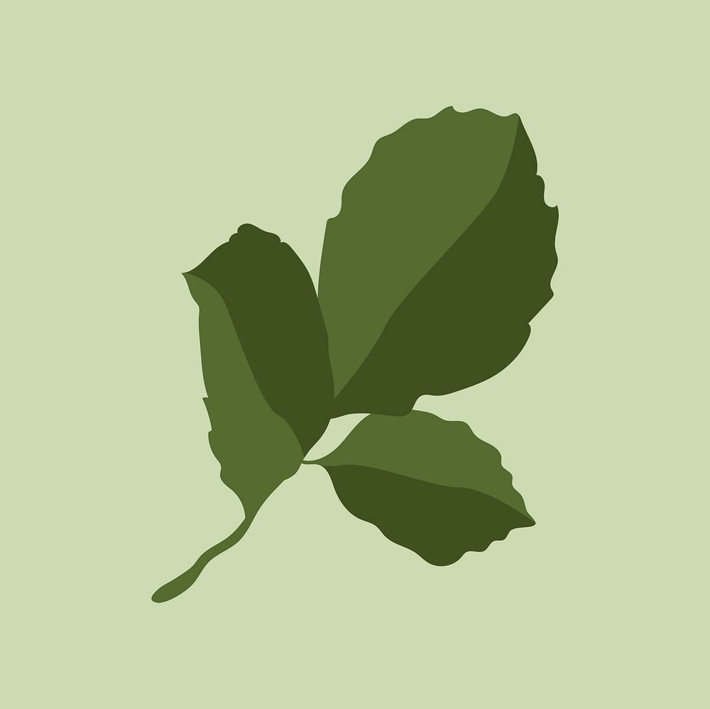 Realistic leaf sticker, green botanical | Premium Vector Illustration ...