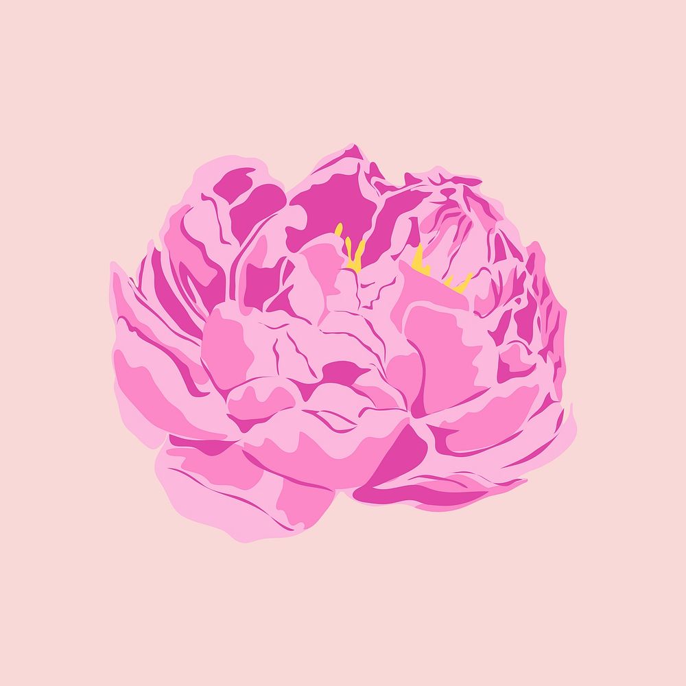 Peony flower sticker, pink aesthetic | Premium Vector Illustration ...
