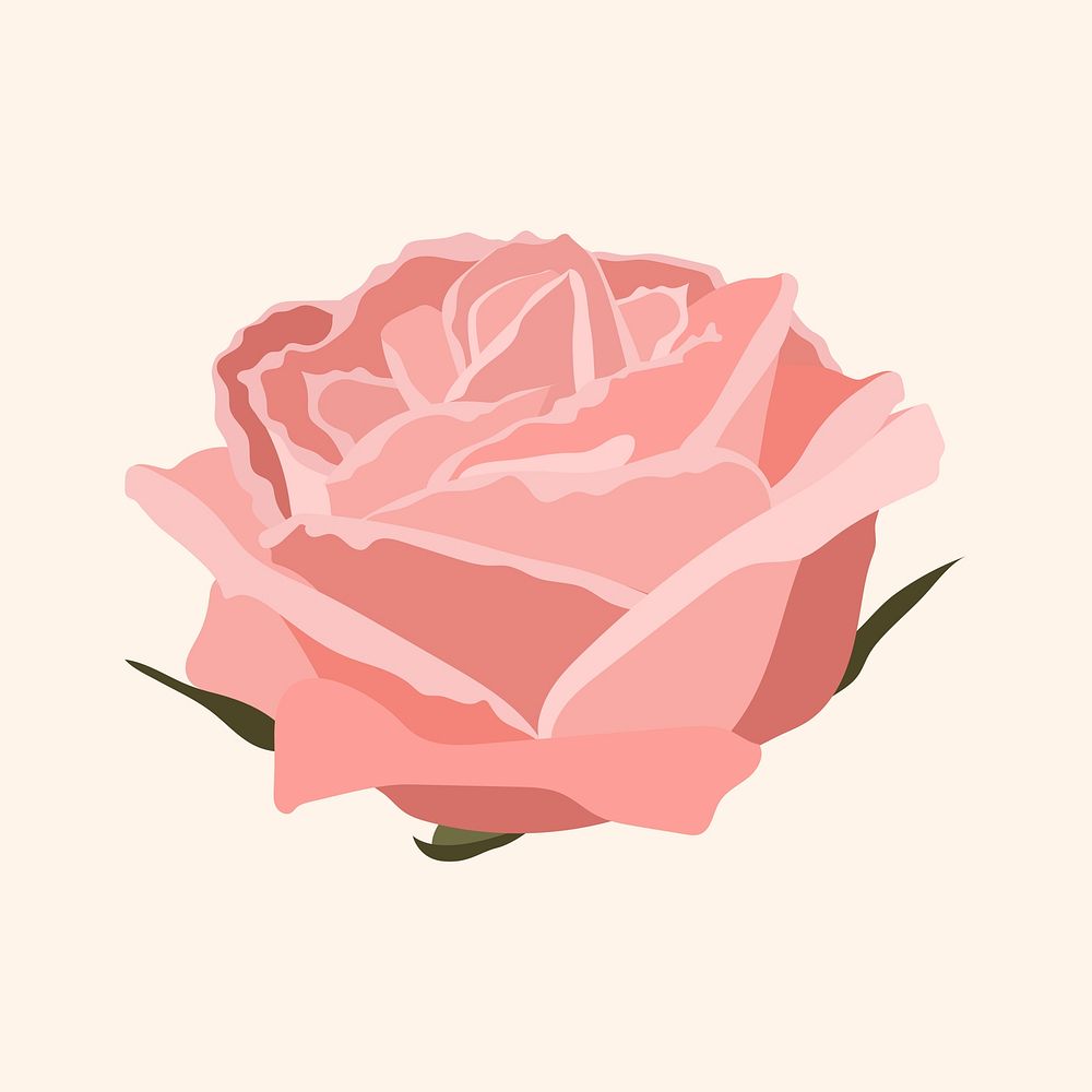 Pink pastel rose sticker, flower | Premium PSD - rawpixel