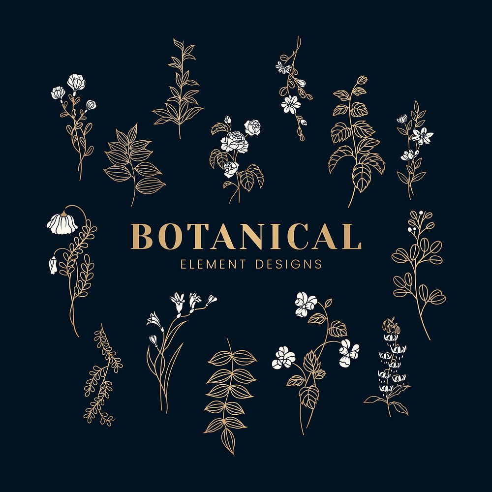 Blooming botanical element design vector | Premium Vector - rawpixel