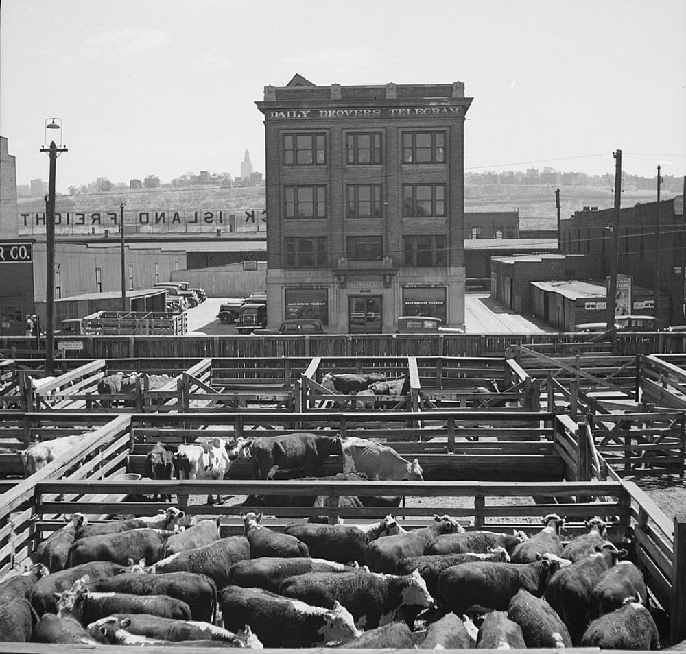 Stockyard Images | Free Photos, PNG Stickers, Wallpapers & Backgrounds ...