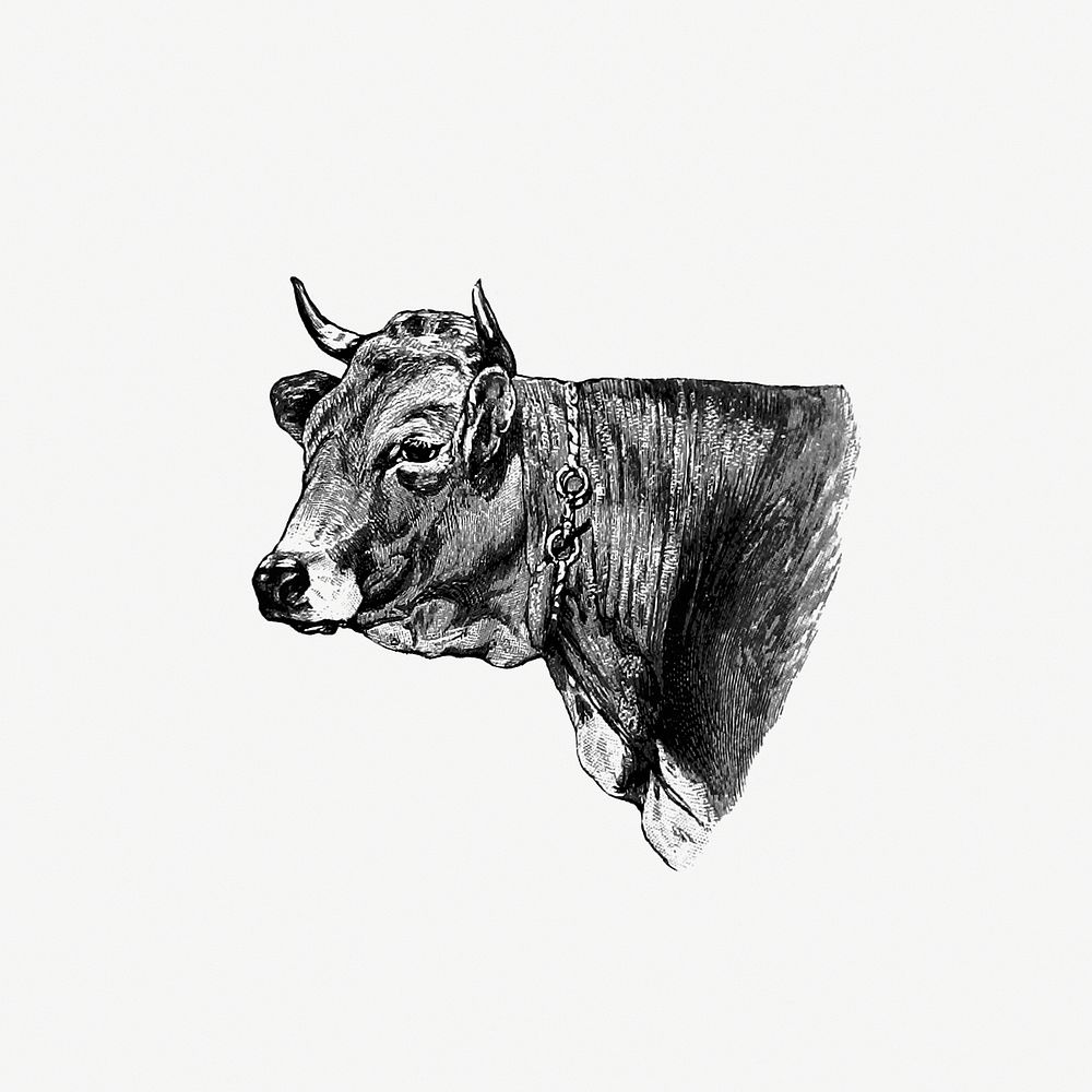 Vintage European style livestock cow | Free Photo Illustration - rawpixel