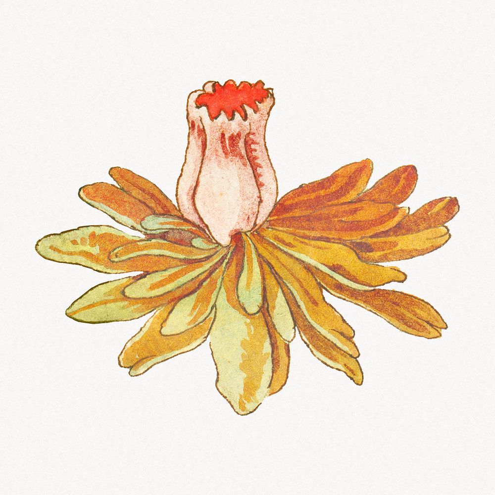 Vintage blooming pink flower design | Premium Photo Illustration - rawpixel