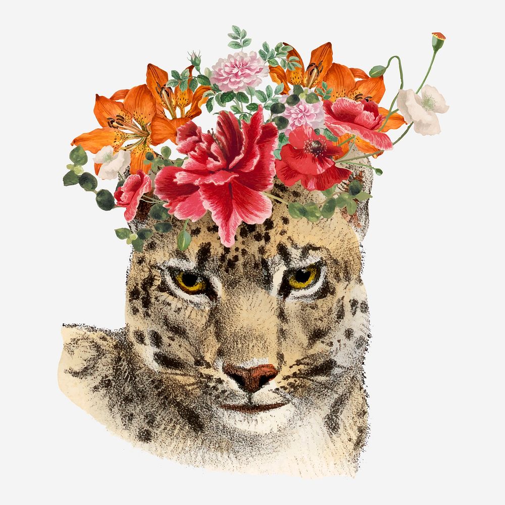Leopard collage element, vintage wildlife | Premium Vector Illustration ...
