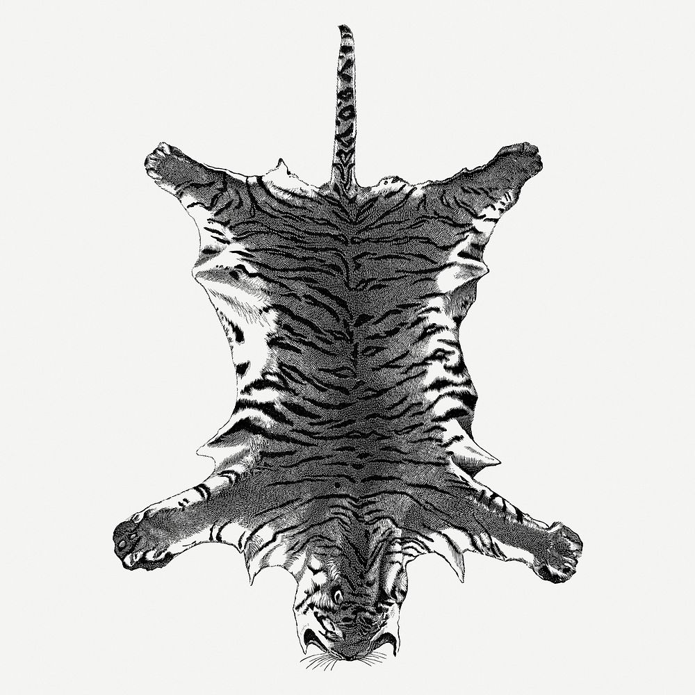 Vintage tiger skin drawing clipart, | Premium PSD - rawpixel