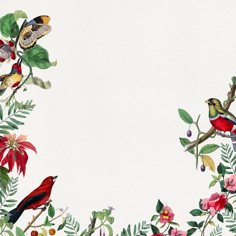 Botanical border frame, beautiful nature | Premium Photo - rawpixel