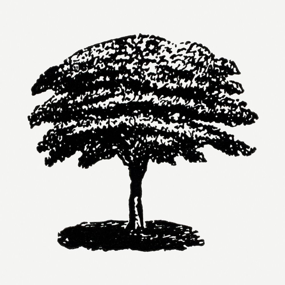 Tree sticker, black ink drawing | Premium PSD Illustration - rawpixel