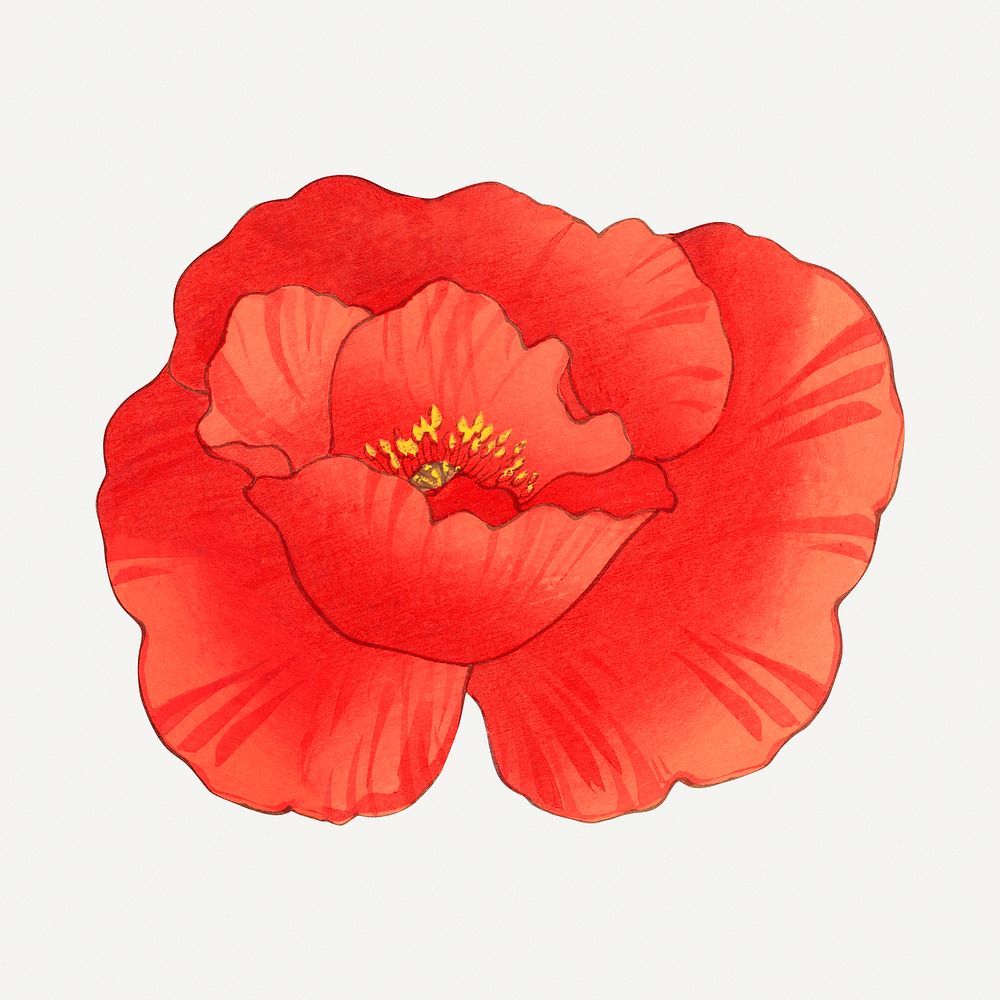 Poppy illustration, vintage Japanese art | Premium Photo Illustration ...