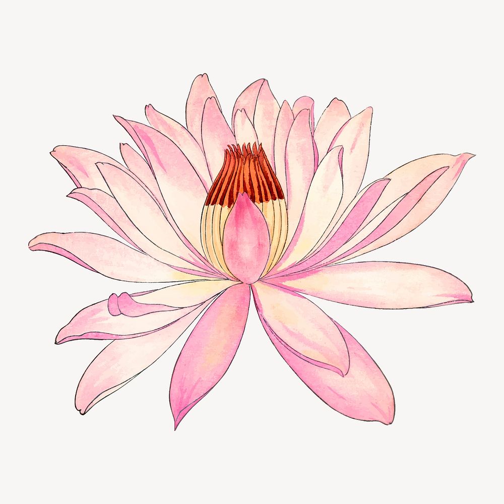 Lotus collage element, vintage Japanese | Premium Vector Illustration ...