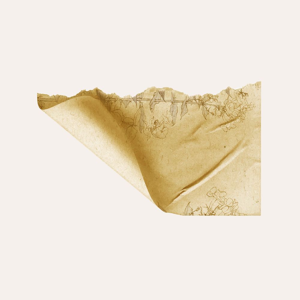 Wrinkled vintage paper scrap vector | Premium Vector - rawpixel
