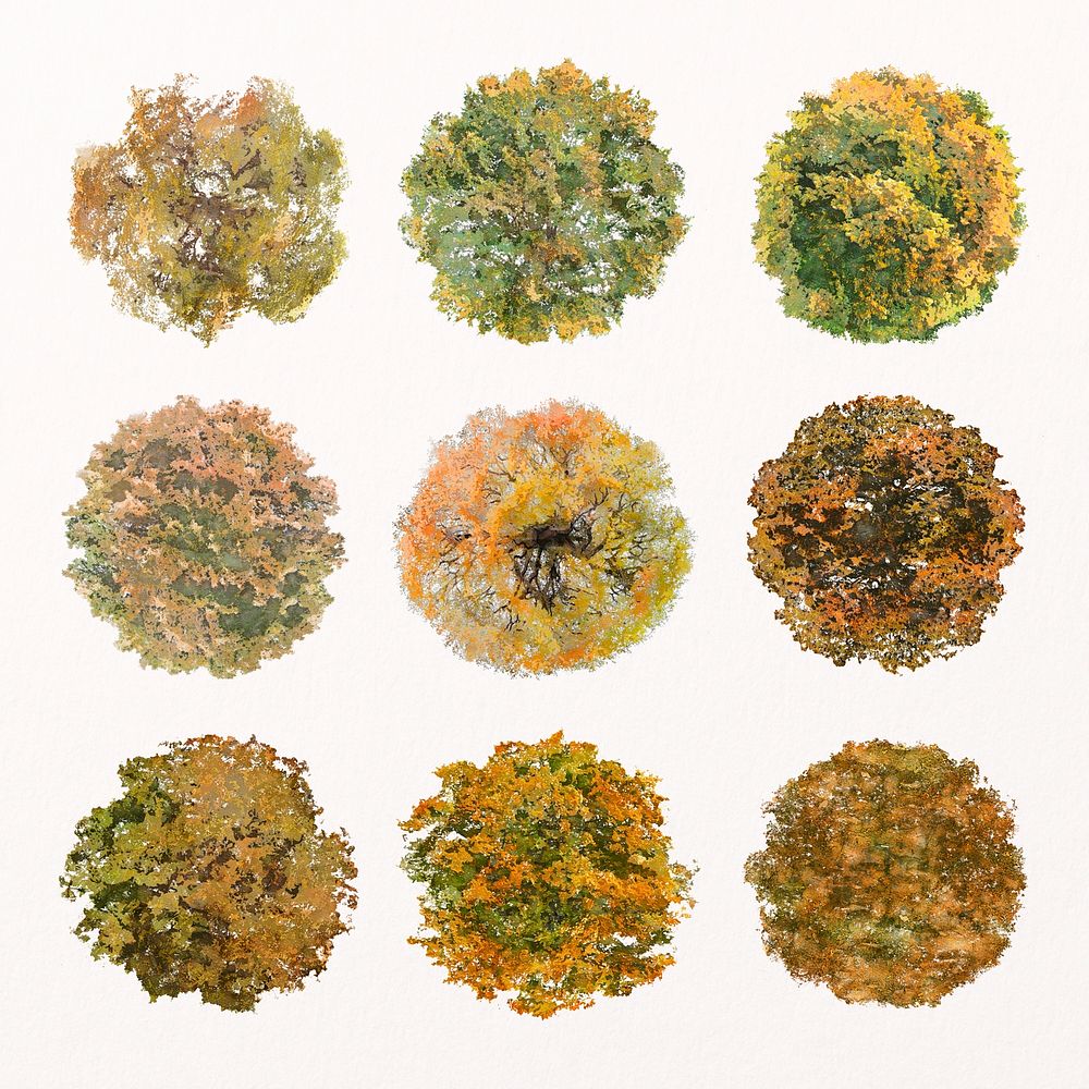 Tree top view illustration set, | Premium PSD - rawpixel