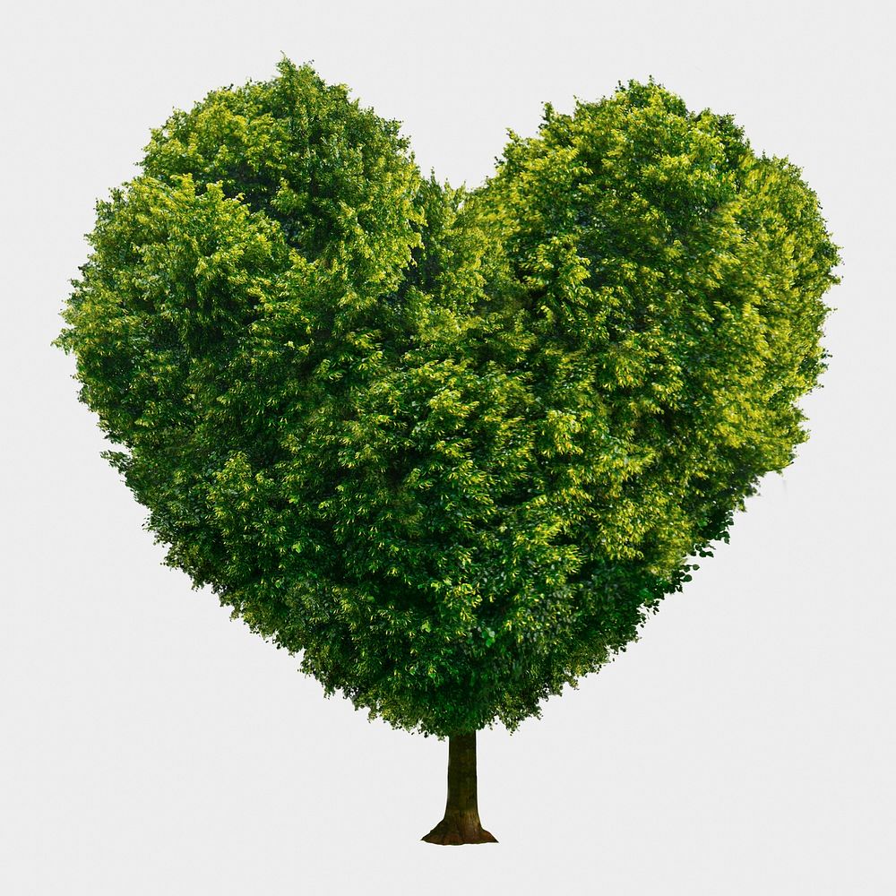 Heart shaped tree isolated on white, | Free Photo - rawpixel