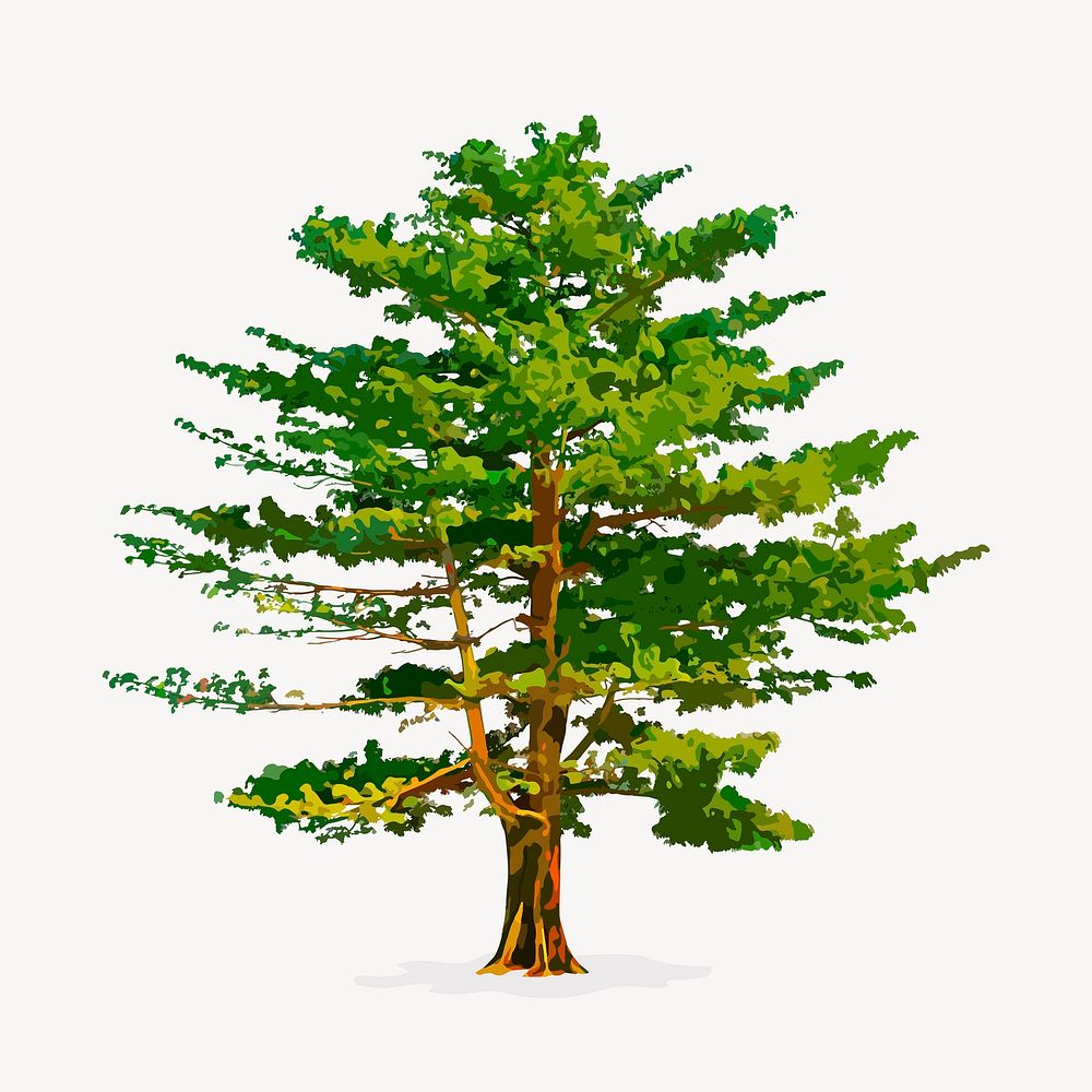 Tree isolated white, nature design | Free Photo Illustration - rawpixel