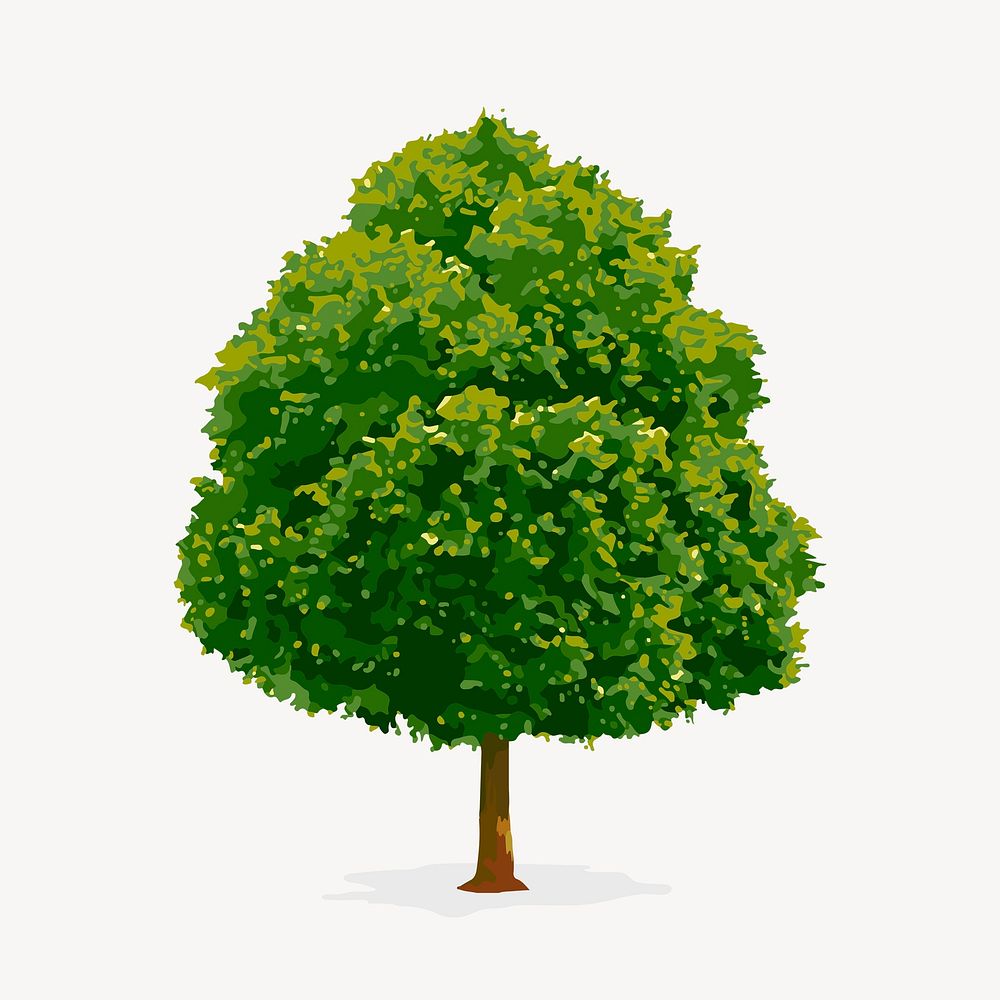 Tree isolated white, nature design | Premium PSD Illustration - rawpixel