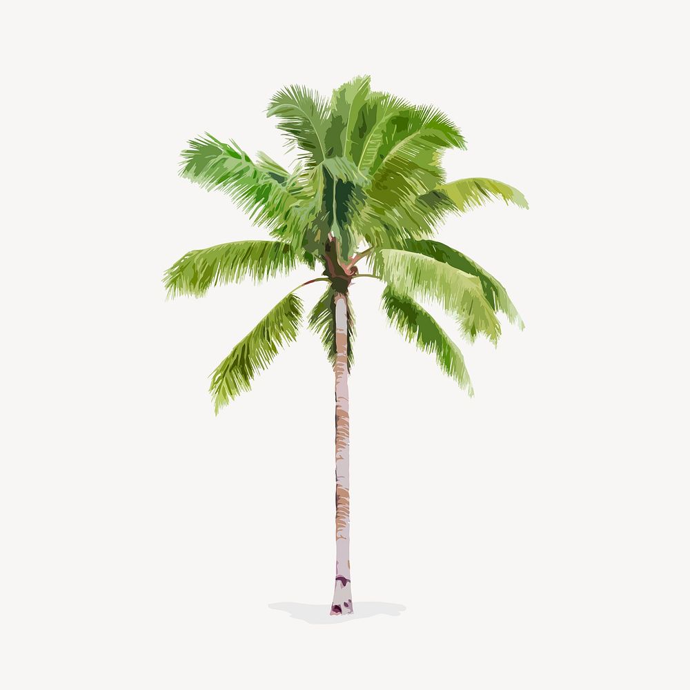 Palm tree isolated on white, | Premium PSD Illustration - rawpixel