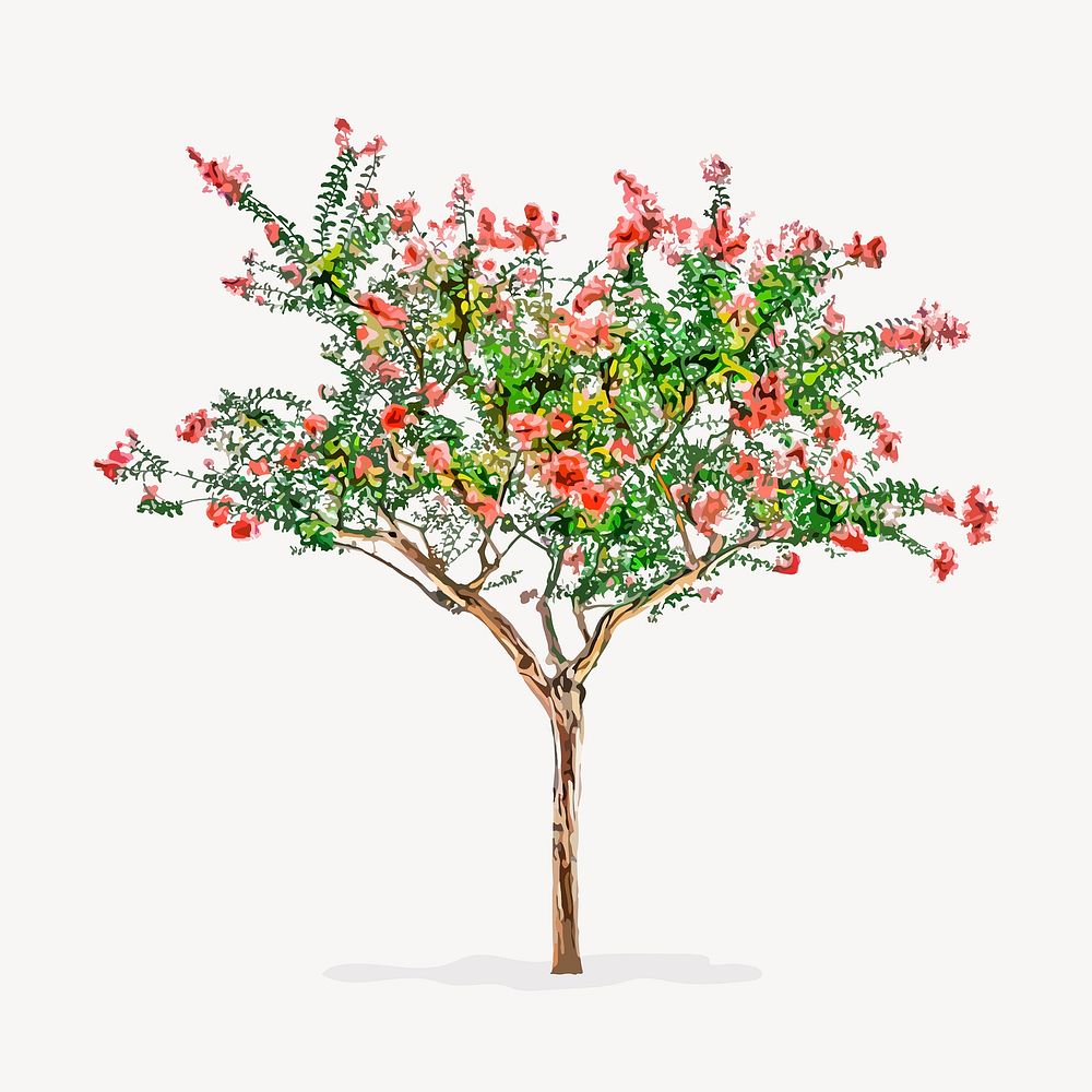 Flowering tree isolated on white, | Premium Vector Illustration - rawpixel