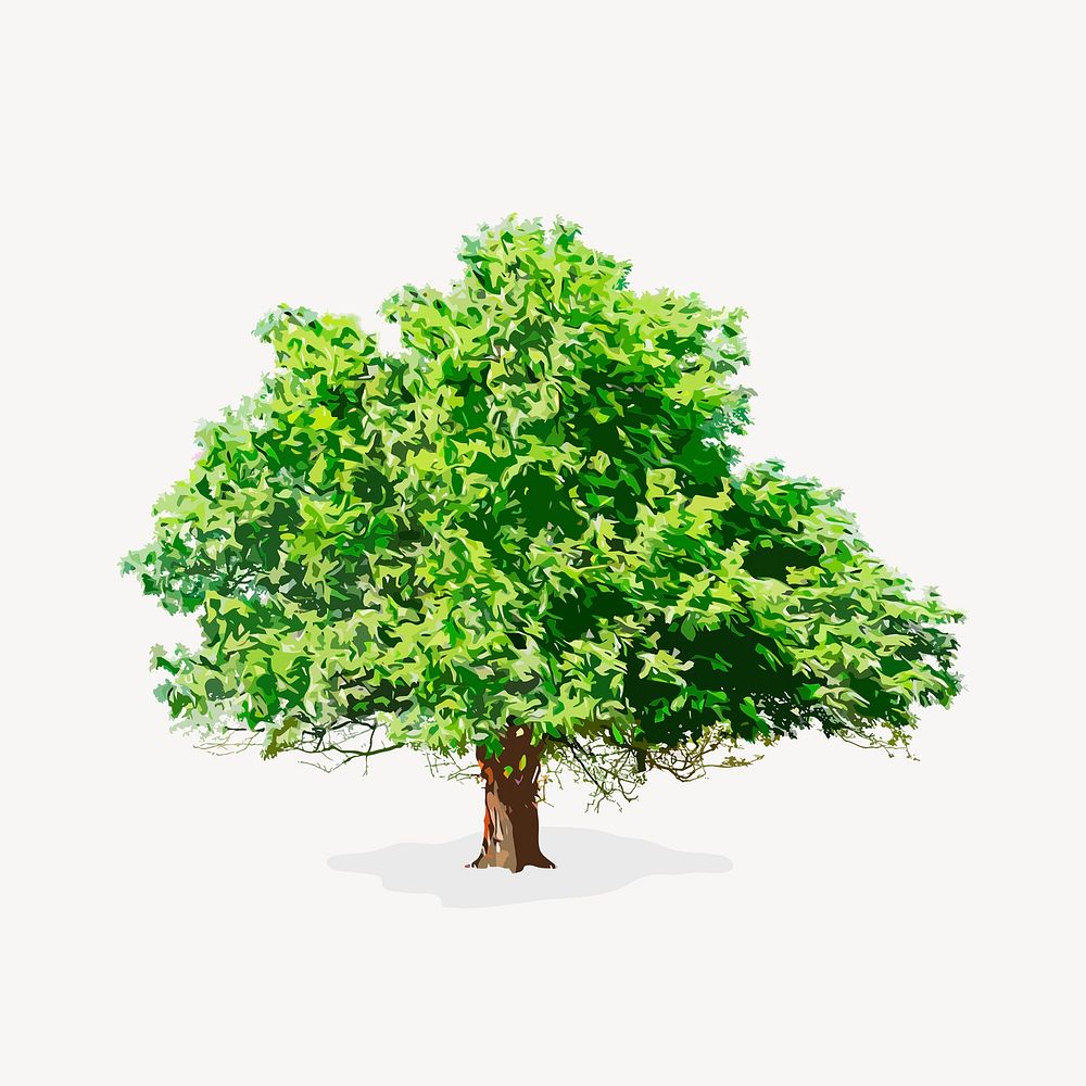 Tree isolated on white, green | Premium PSD Illustration - rawpixel