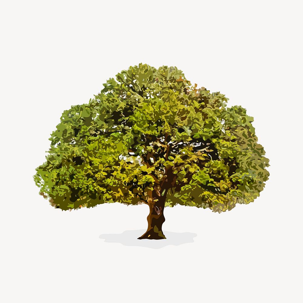 Tree isolated white, green nature | Premium PSD - rawpixel