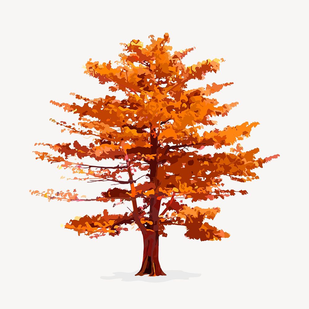 Autumn tree isolated white, nature | Premium PSD - rawpixel