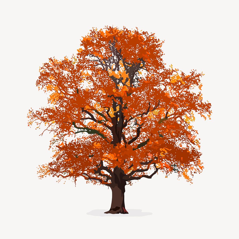 Autumn tree isolated white, nature | Premium Vector Illustration - rawpixel